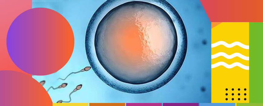 ¿Cómo saber si soy fértil? Chequea tu fertilidad - Accuna