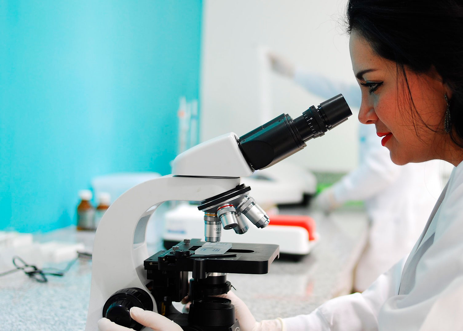 La Inseminación Artificial paso a paso